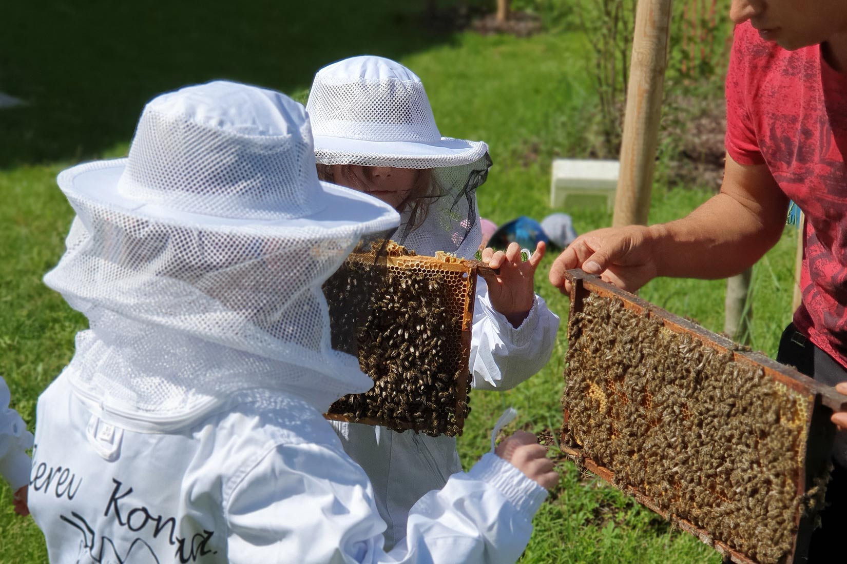 Kindergeburtstag – Erlebnis-Imkerei Konrad